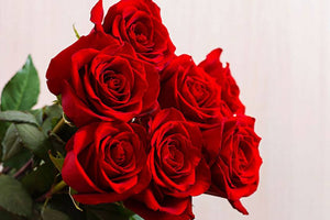 roses meaning; What does a rose symbolize? | Blooms Land